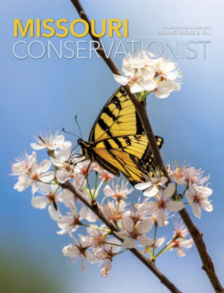 Books & Publications – Mosses of Missouri and Beyond
